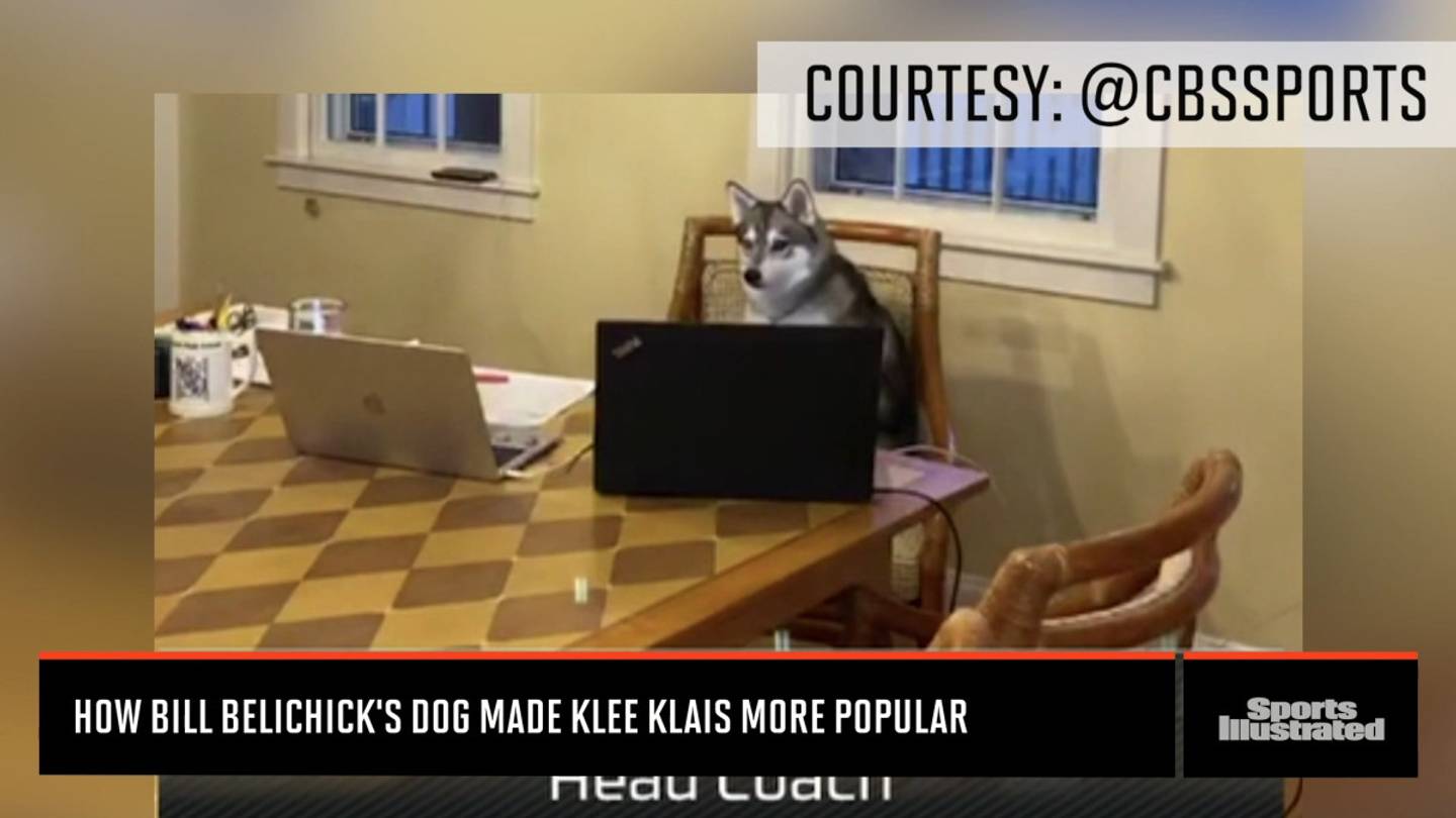 Has Belichick's Dog Made Him More Likable? - Sports Illustrated