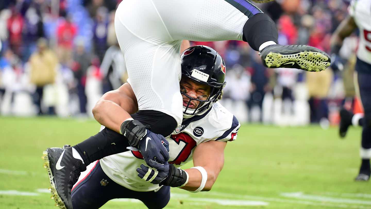 Patrick Ricard most 'underrated' player for Baltimore Ravens - Sports ...