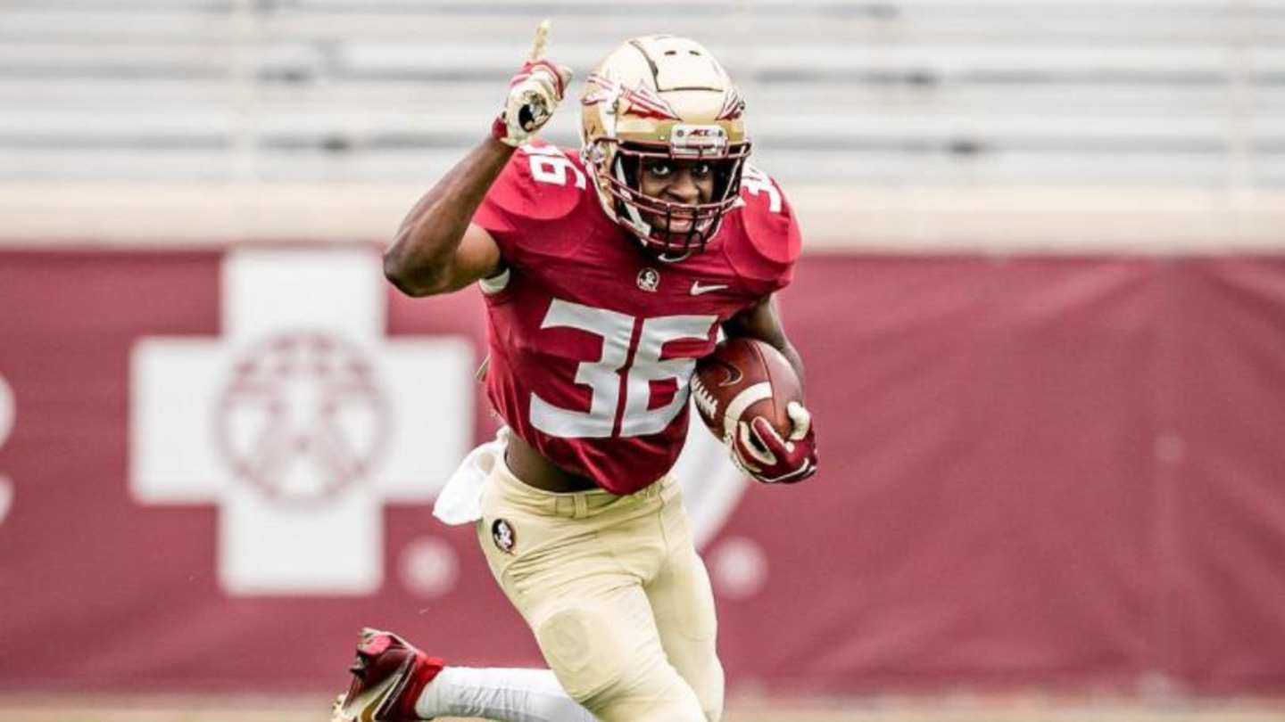 Florida State walk-on defensive back enters Transfer Portal - Sports ...