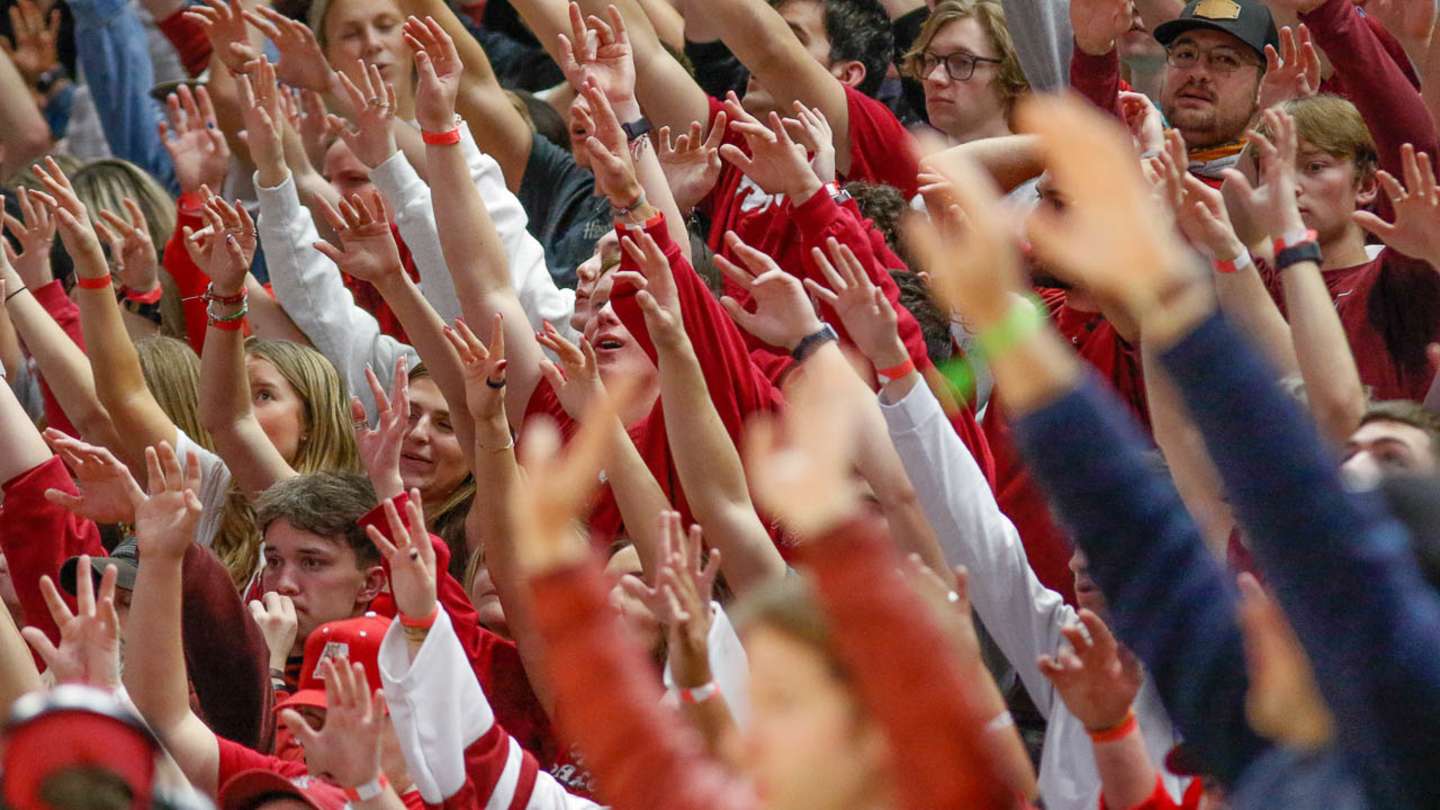 Razorback Foundation making change at top; nationwide search starting ...