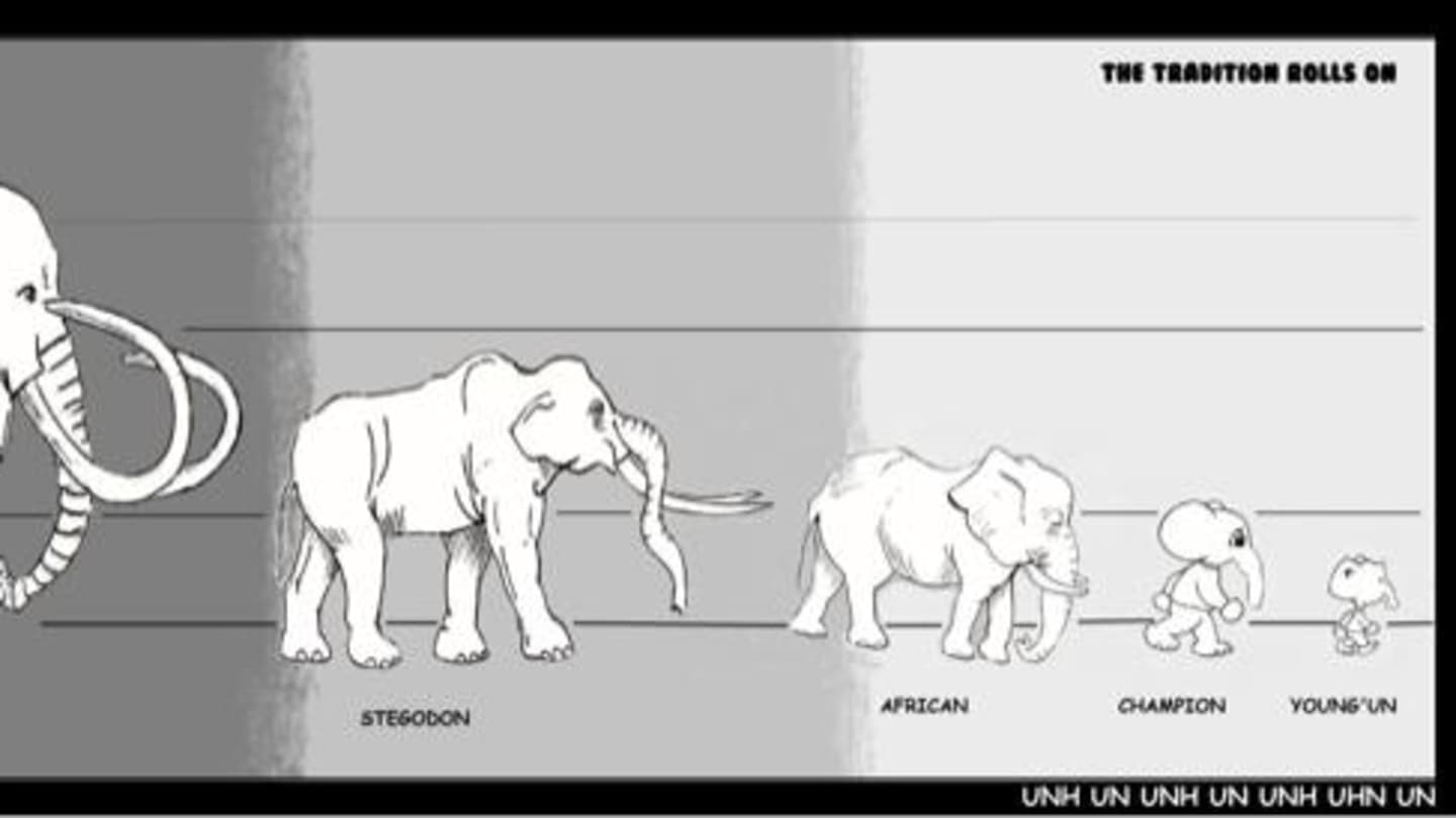 Crimson Tikes: Charting the Evolution of a Champion - Sports ...