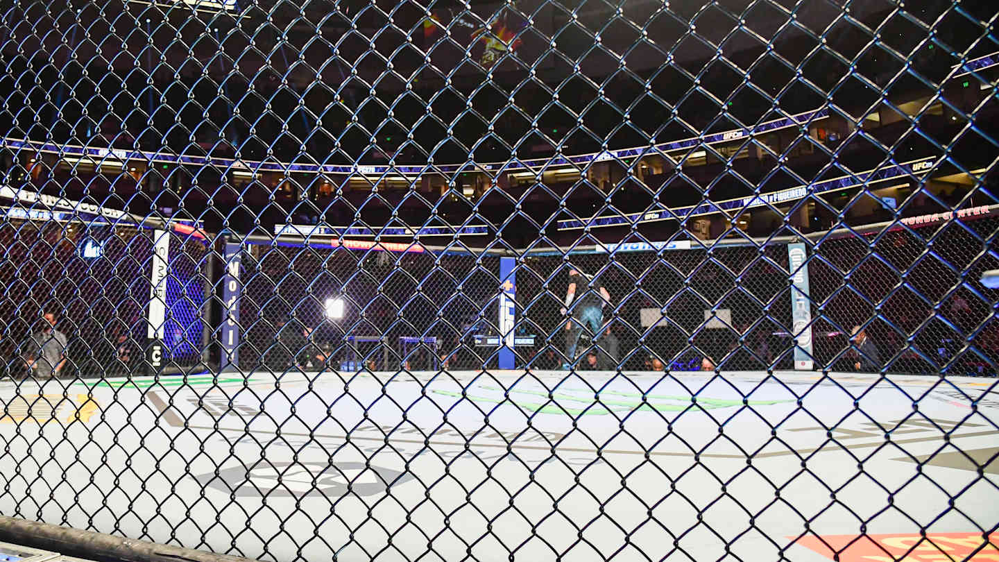 Watch UFC Fight Night: Rozenstruik vs Alemeida: Stream MMA live - How ...