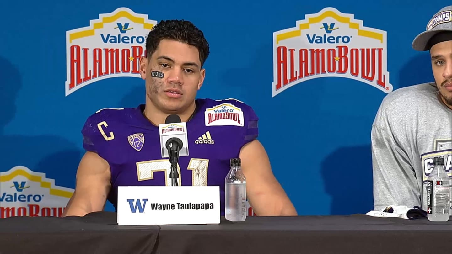 How Huskies' 9 Portal Transfer Newcomers Fared This Season - Sports ...