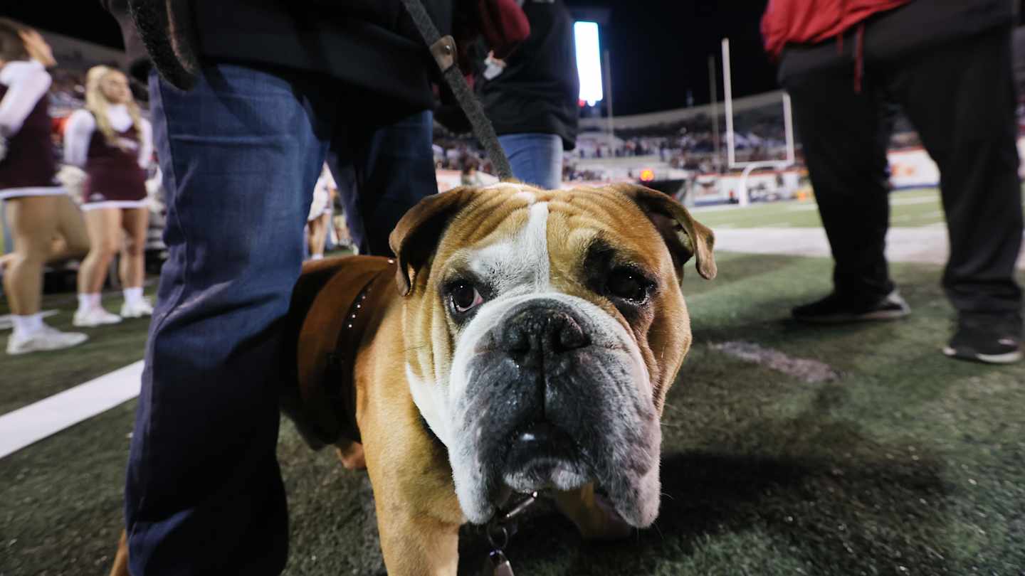 Mississippi State athletics: program ranks among best financially in ...