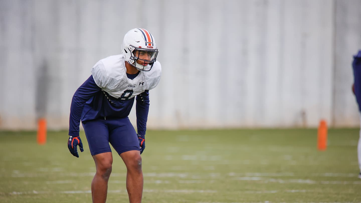 Auburn DB Austin Ausberry Has Entered the Transfer Portal - Sports Illustrated Auburn Tigers ...