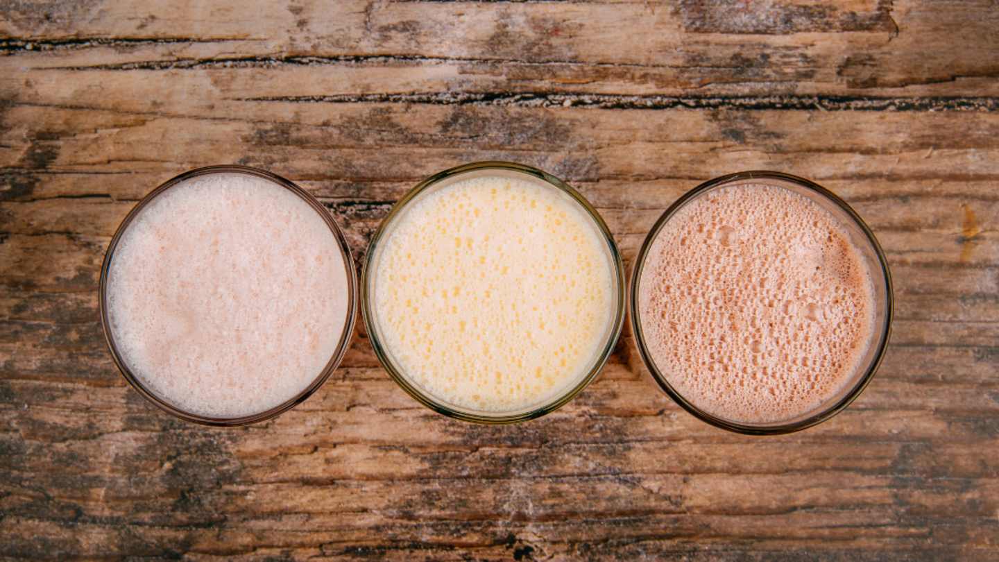 The Best Types of Protein Powder Explained - Sports Illustrated