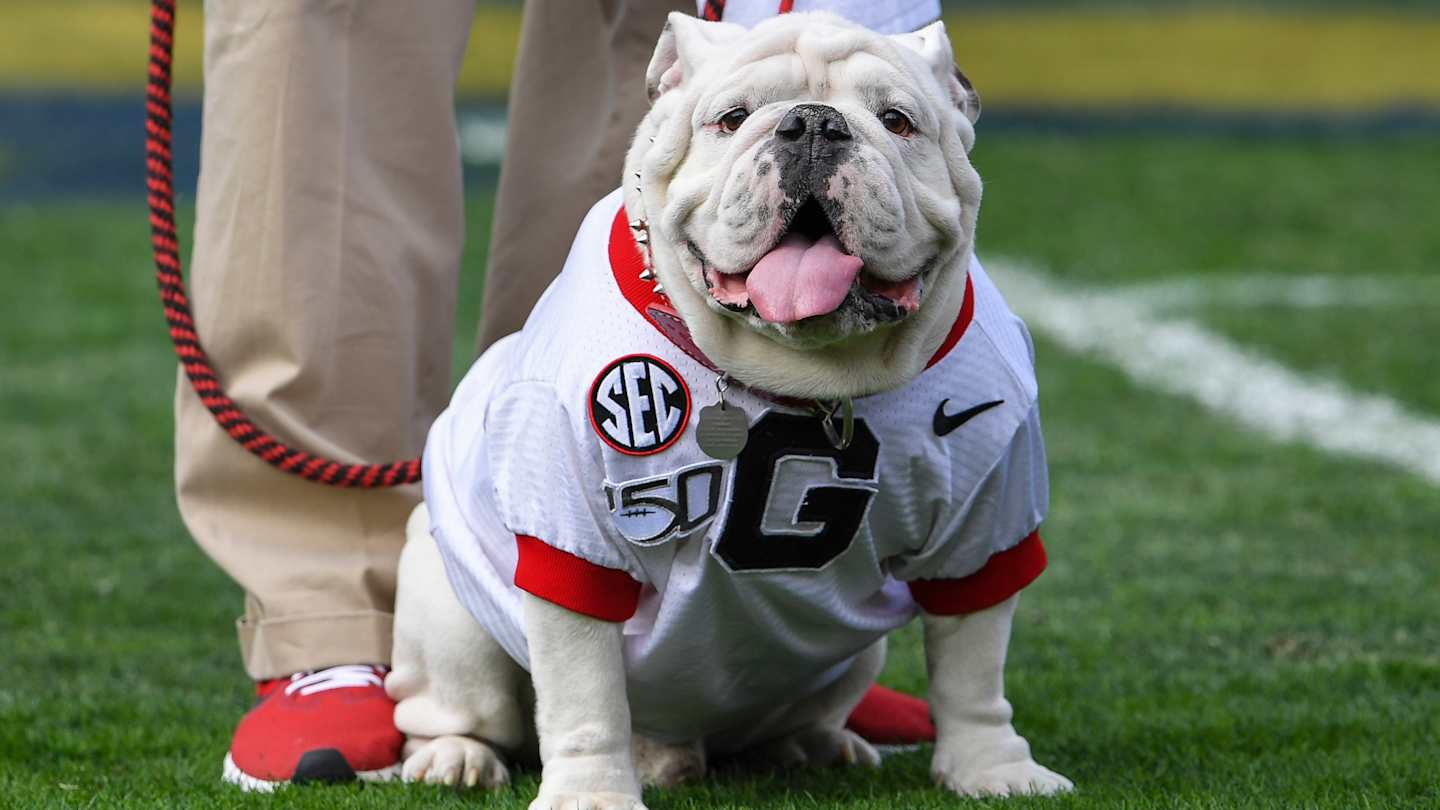 Georgia’s Mascot, Uga X, Will Retire With Impressive Honor - Sports ...