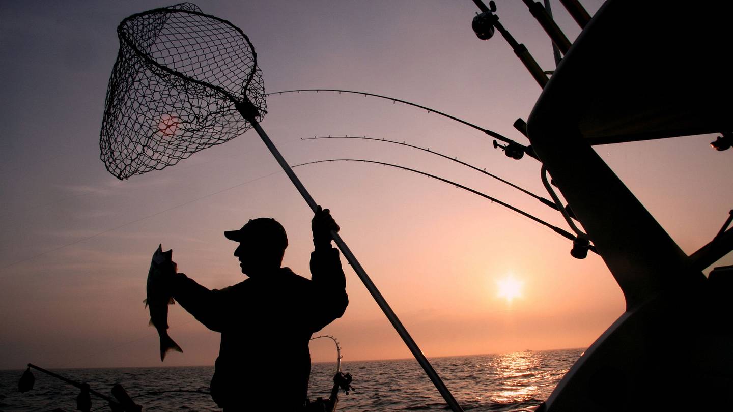 Fishing Tournament Duo Receives Jail Sentences After Pleading Guilty to ...