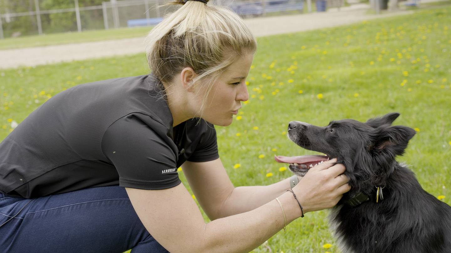 Brianna Decker’s dog, Missy, helps U.S. hockey player in injury ...