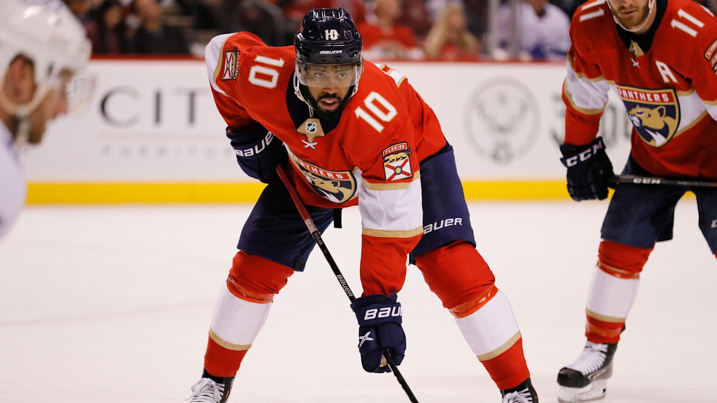 Panthers’ Anthony Duclair Suffered Offseason Achilles Injury, per ...
