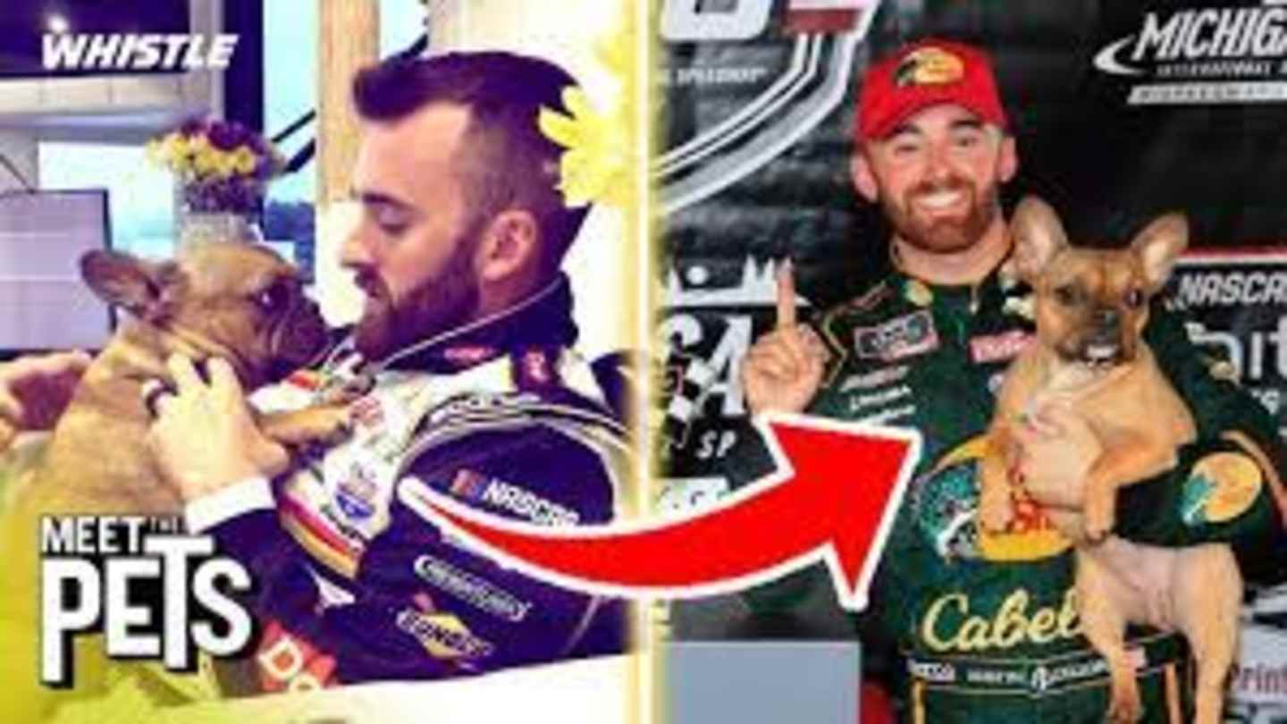 Dog gone it, Austin Dillon! - Auto Racing Digest