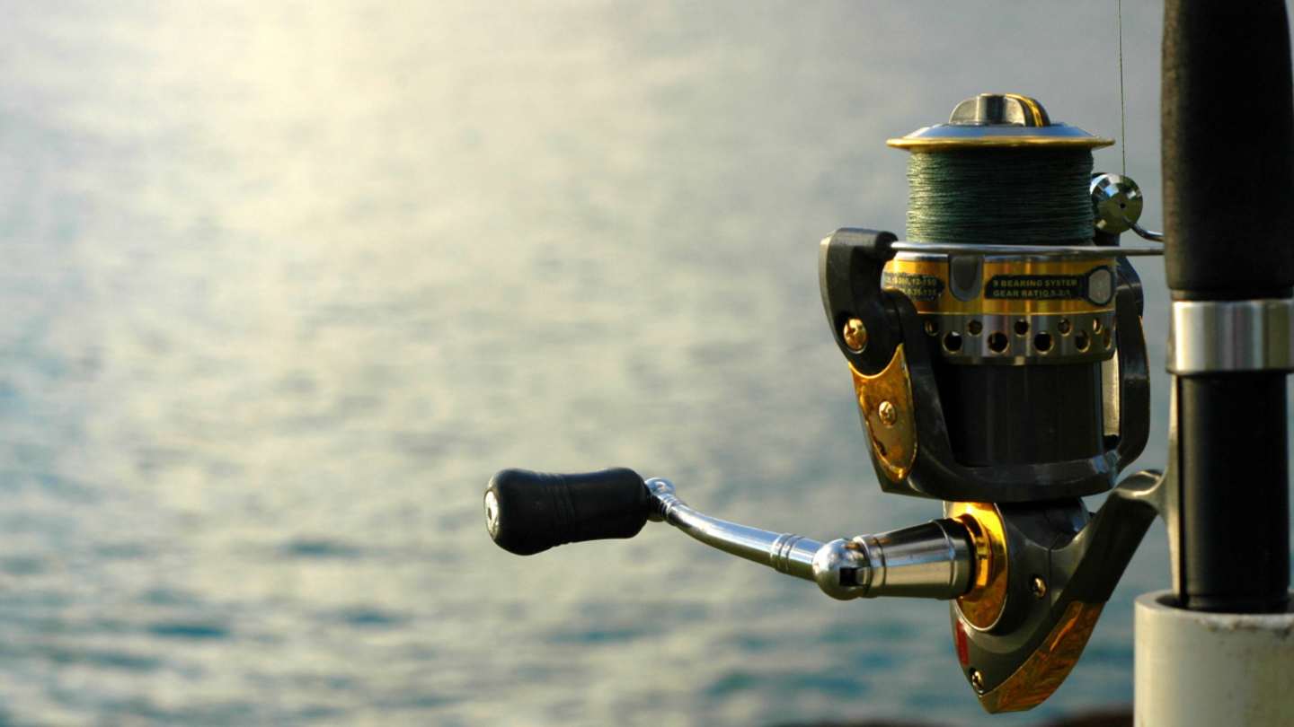 Fishermen team accused of stuffing fish with weights at tournament ...