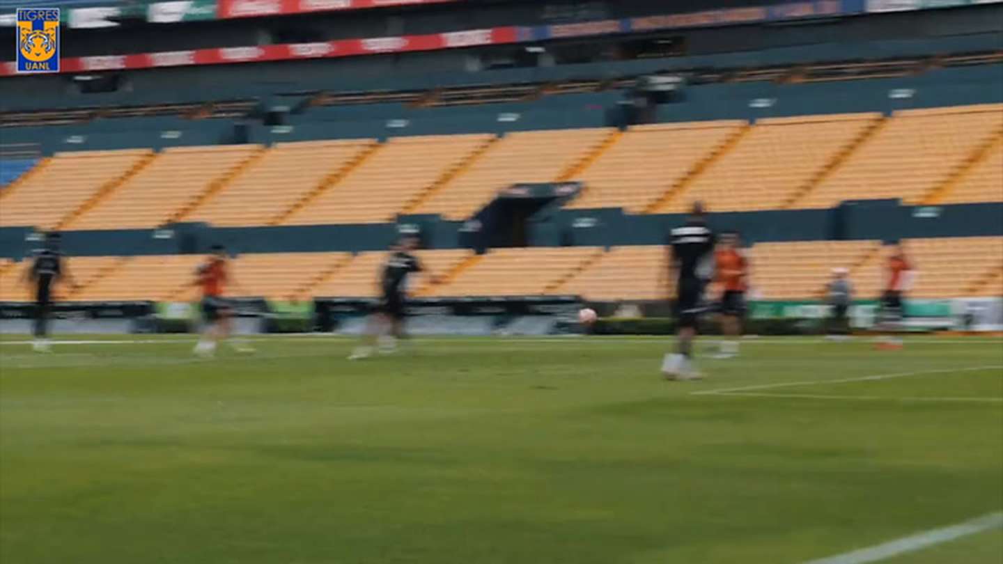 Tigres prepare for play-off vs Necaxa - Soccer - OneFootball on Sports ...