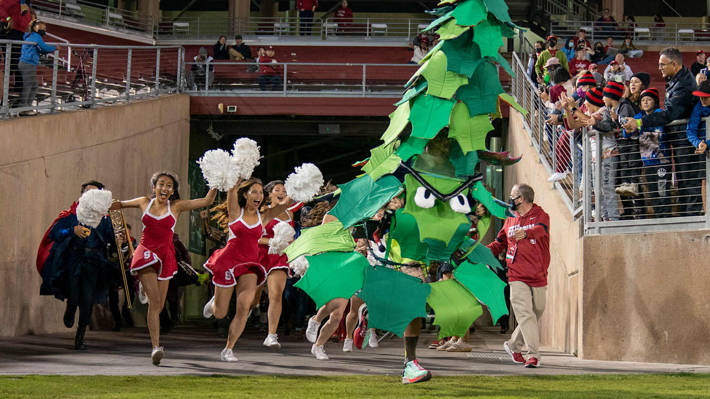 Stanford's beloved tree mascot suspended for antics taking place during ...