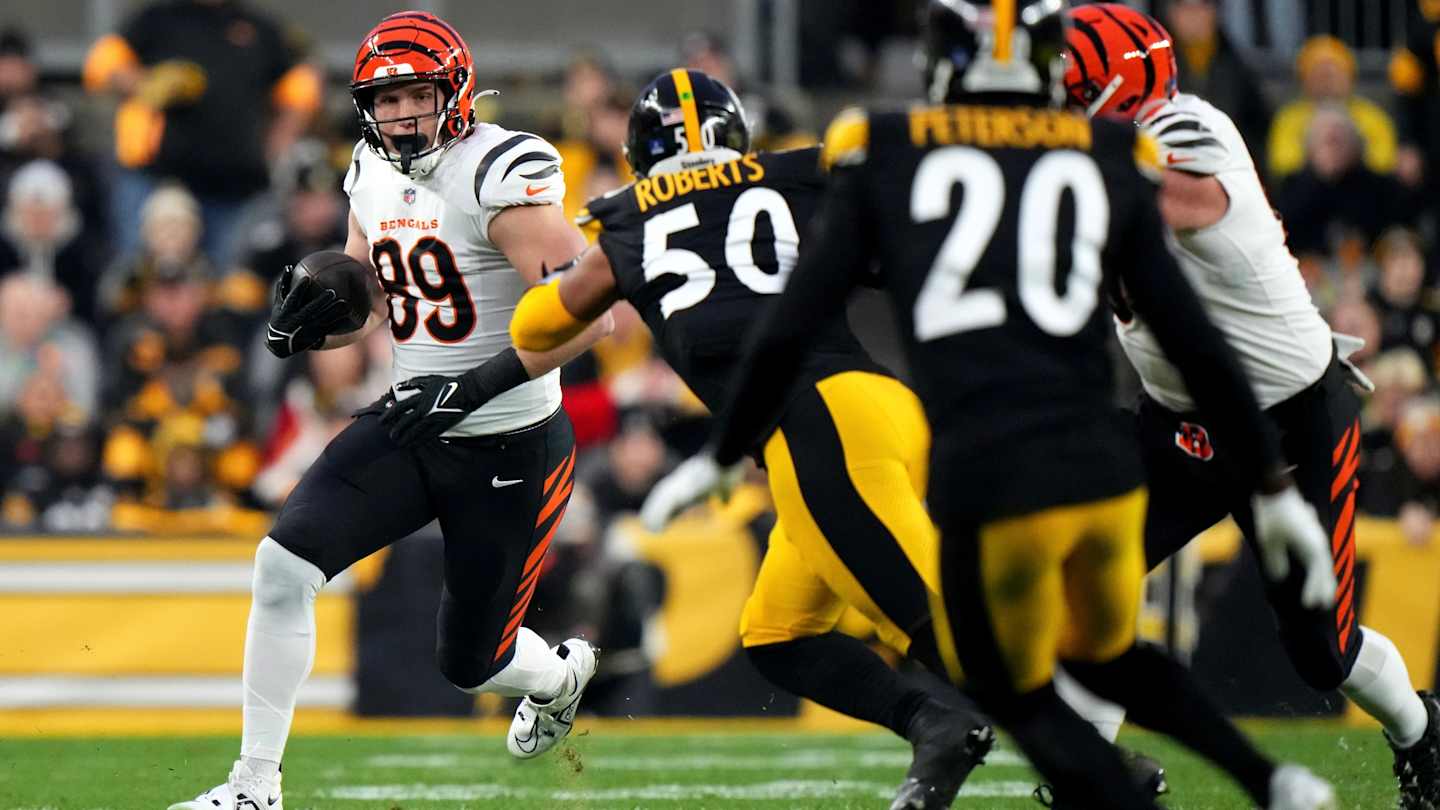 Ex-Husky TE Drew Sample Earns Bengals Contract Extension - Sports ...