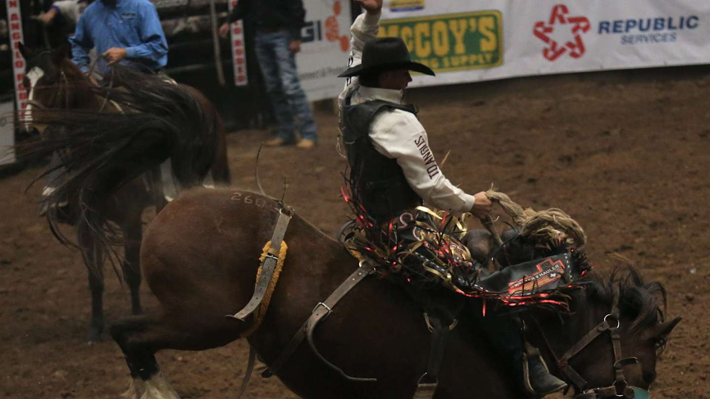 Bailey Small Wins Saddle Bronc Title at Mountain States Circuit Finals ...