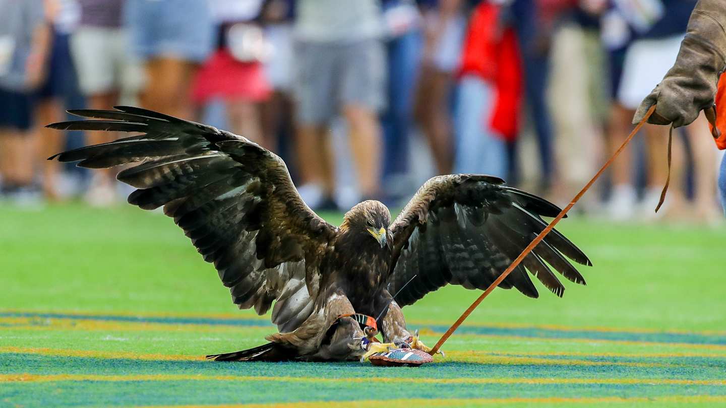WATCH: Auburn wide receiver commit Perry Thompson shows off the speed ...