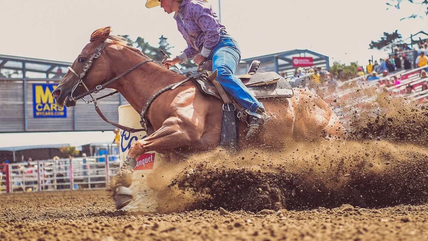 WPRA Barrel Horse of the Year - Sports Illustrated Rodeo Daily News ...