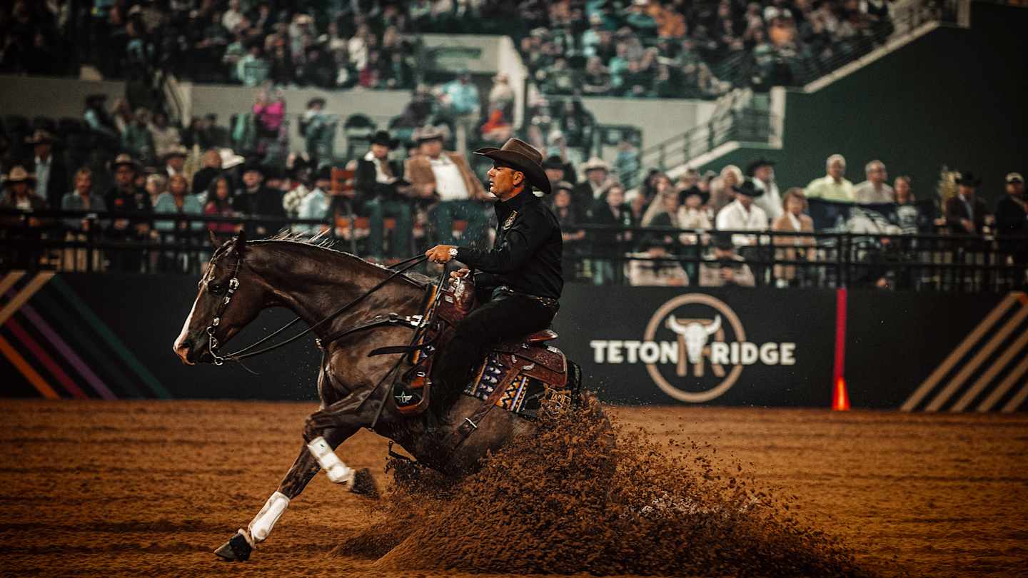 Legendary NRHA $3 Million Stallion Passes Away - Sports Illustrated ...