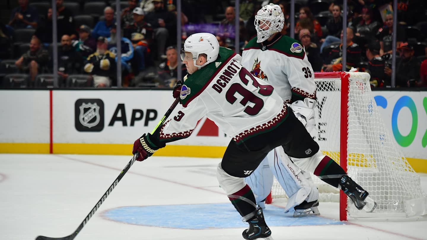 Coyotes' Travis Dermott Uses Pride Tape During Game, Defying NHL Ban ...