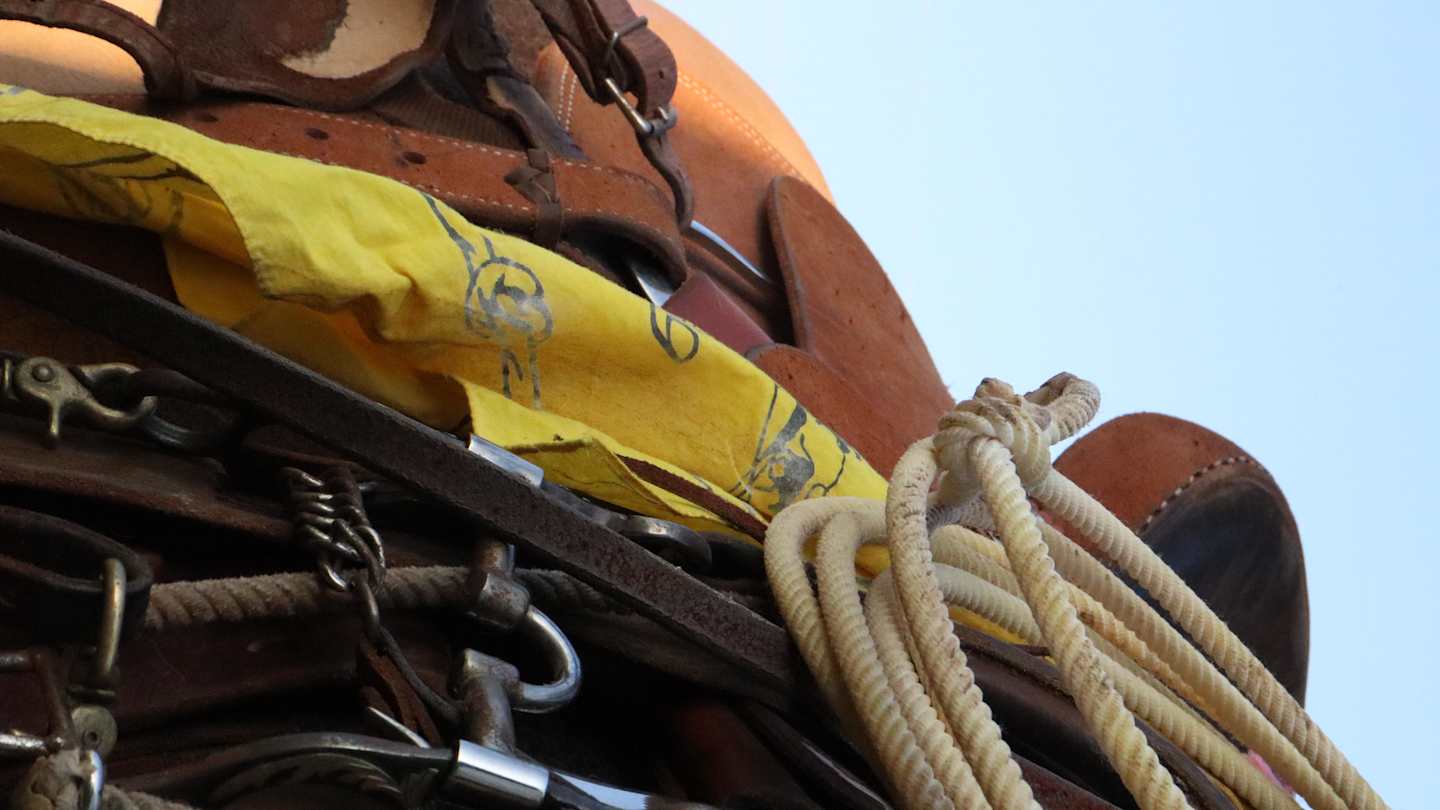 NFBR Profile: Rickie Fanning #13 - Sports Illustrated Rodeo Daily News ...