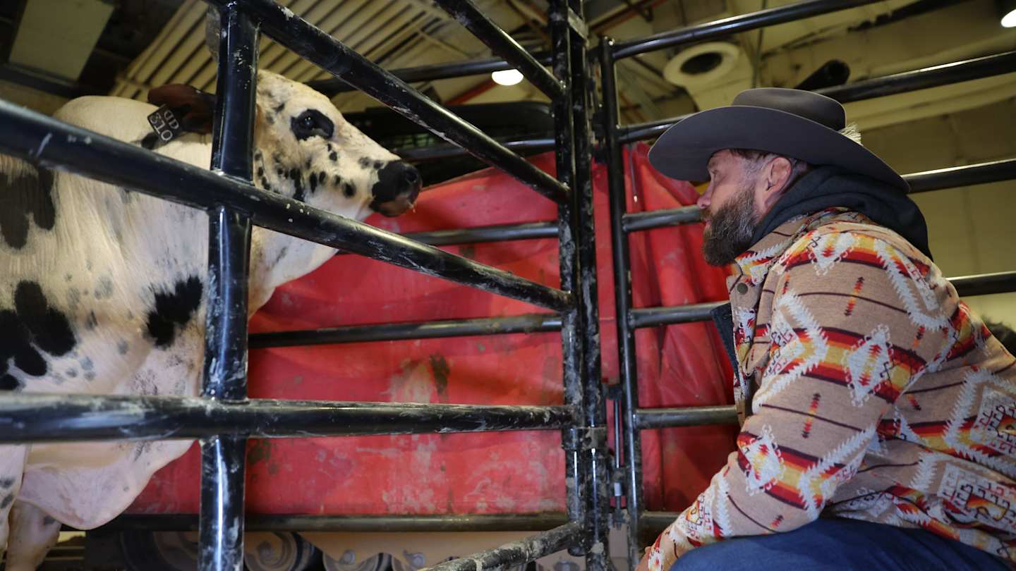 Dana White Accepts Cowboy Cerrone’s Audacious Challenge To Ride His ...