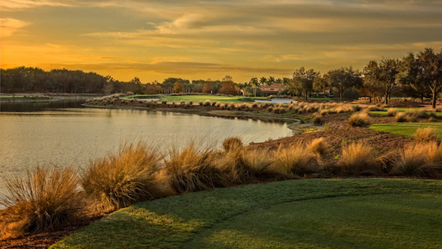 Golf Course Review: Tiburón Golf Club [Gold Course] | 8.2 Score ...