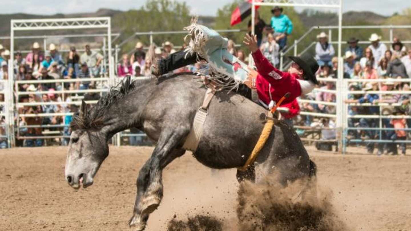 Workout Like a Professional Rodeo Athlete - Sports Illustrated Rodeo ...