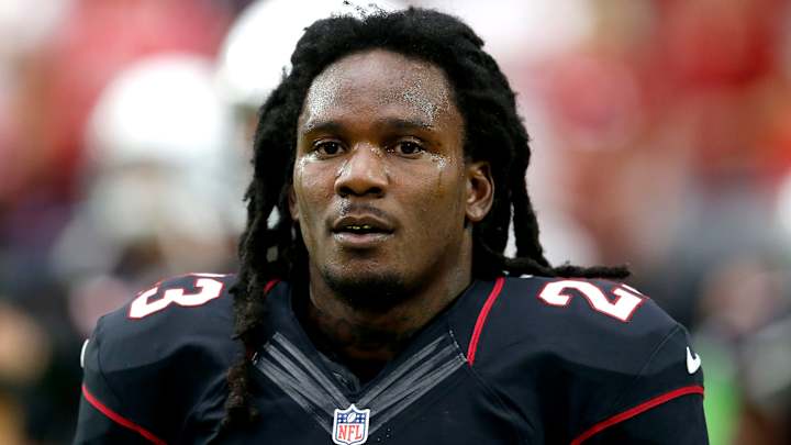 chris johnson career touchdowns