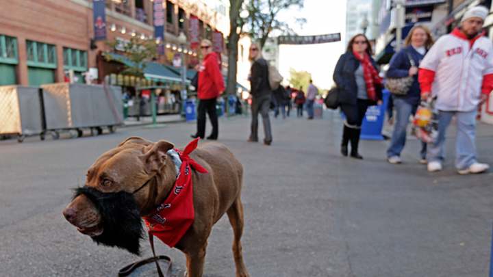 Friday's A.M. Hot Clicks