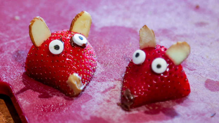 Cheap Seats Become Best Seats at Arkansas Razorback Softball's Bogle ...