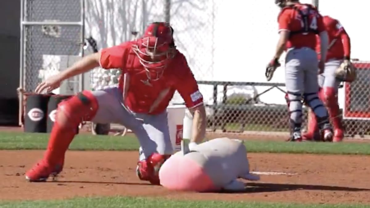 Reds Coaches Found Genius Way to Use a Stuffed Animal in Spring ...