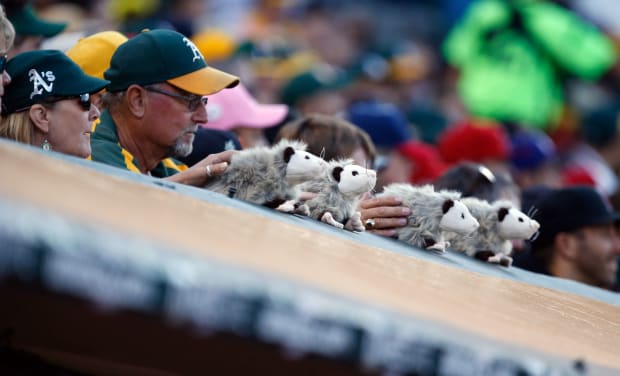 Gary Cohen outlined their relocation from a room that "reeked so badly."