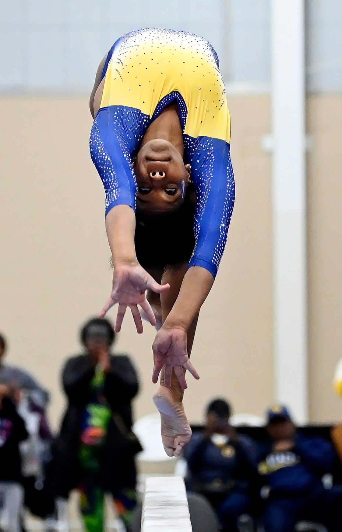 Morgan Price, Fisk Gymnastics Teammates to Compete for National ...