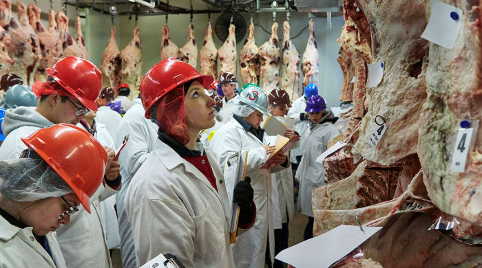 Intercollegiate meat judging: Texas Tech dominates Big 12 competition ...