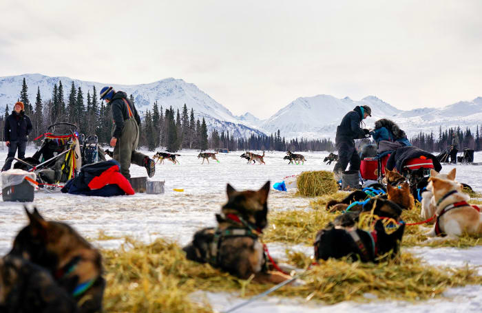 2019 Iditarod photos: Peter Kaiser wins Alaska's sled dog race - Sports ...