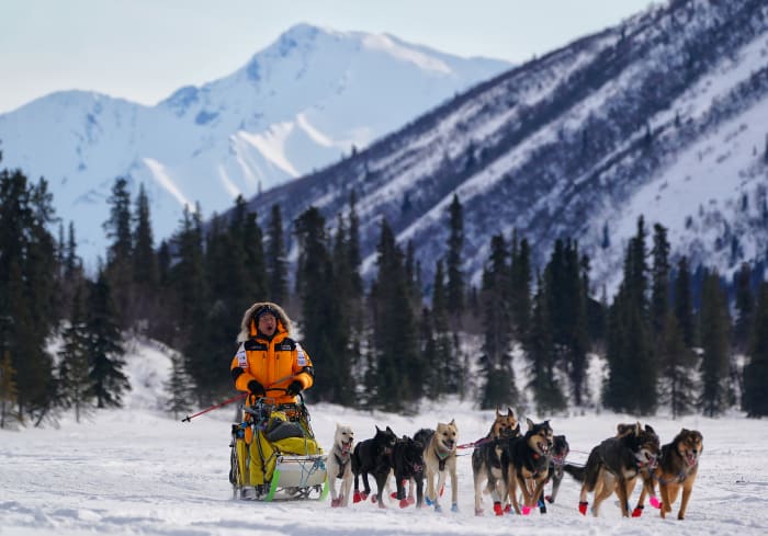 2019 Iditarod photos: Peter Kaiser wins Alaska's sled dog race - Sports ...