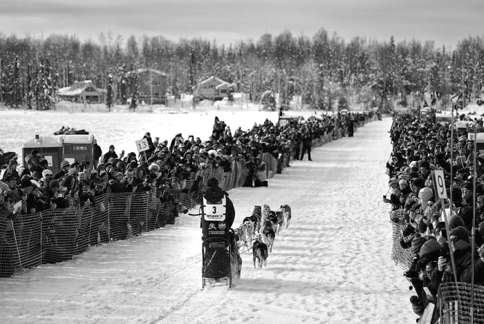 2019 Iditarod photos: Peter Kaiser wins Alaska's sled dog race - Sports ...