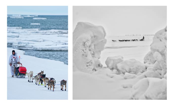 2019 Iditarod photos: Peter Kaiser wins Alaska's sled dog race - Sports ...