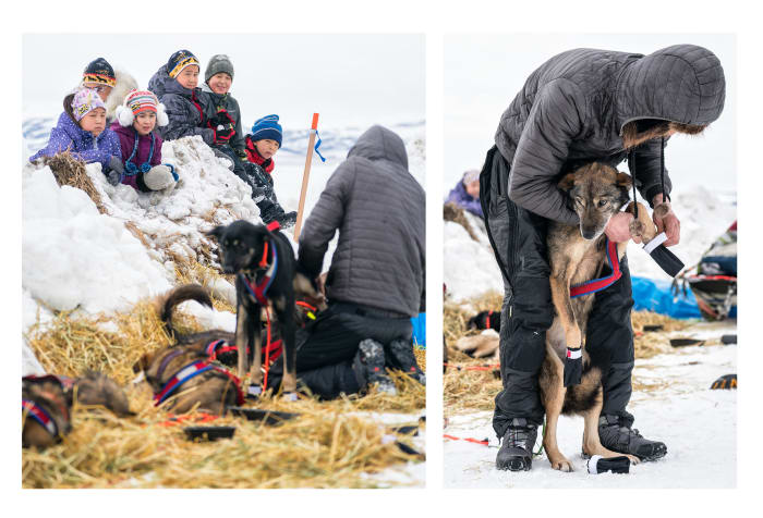 2019 Iditarod photos: Peter Kaiser wins Alaska's sled dog race - Sports ...