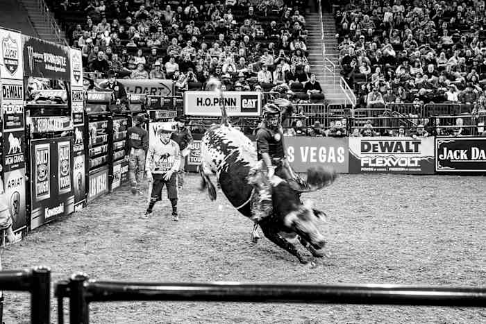 Professional Bull Riding: Behind the scenes at MSG - Sports Illustrated