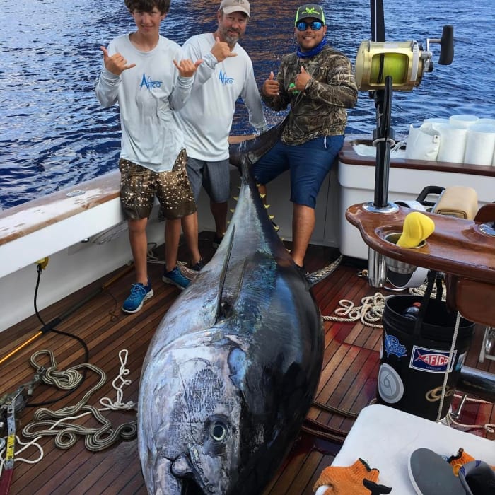 Teen catches 835-pound tuna off Louisiana (photo, video) - Sports ...