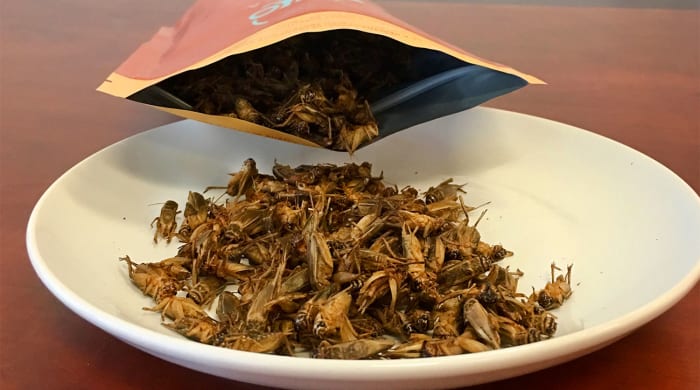 Mark Melancon on why he eats crickets as a snack - Sports Illustrated