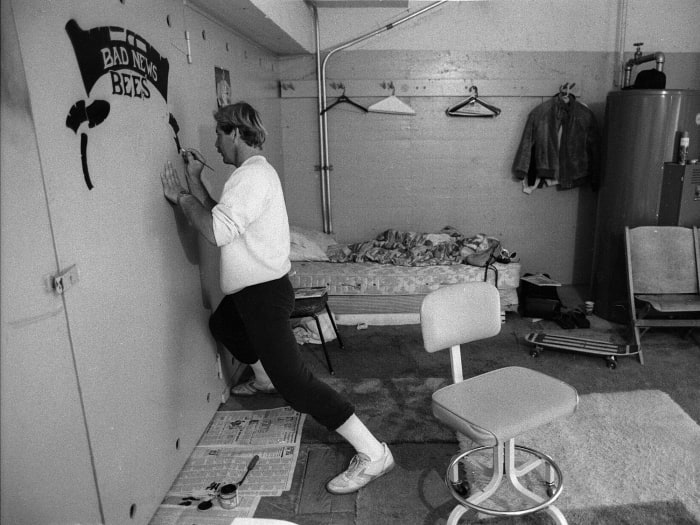 San Jose Bees were the weirdest baseball team ever - Sports Illustrated