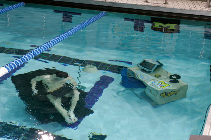 Michael Phelps poses at bottom of University of Michigan pool in 2005 ...