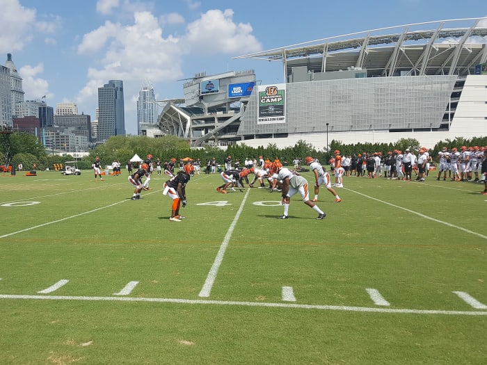 Bengals training camp: Marvin Lewis, playoff exits in spotlight ...