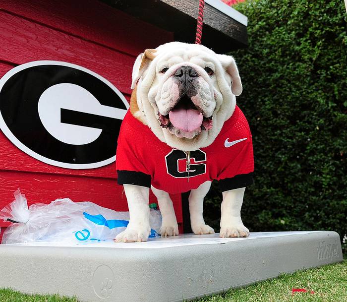 The 25 Best Mascots in College Football - Sports Illustrated