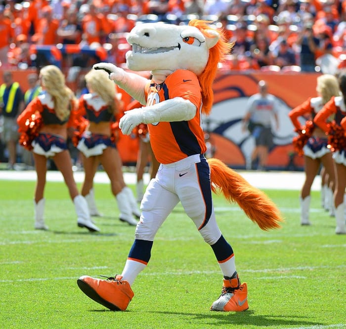 Ranking the NFL's Mascots - Sports Illustrated