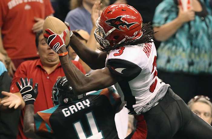 Hot Clicks: A look at Sharks in Sports - Sports Illustrated