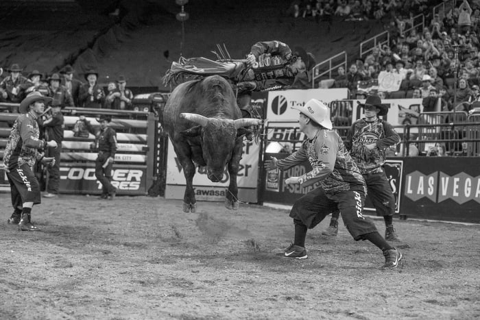Professional Bull Riders at Madison Square Garden - Sports Illustrated